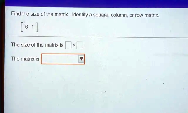 SOLVED: Find the size of the matrix Identify a square column, or row ...