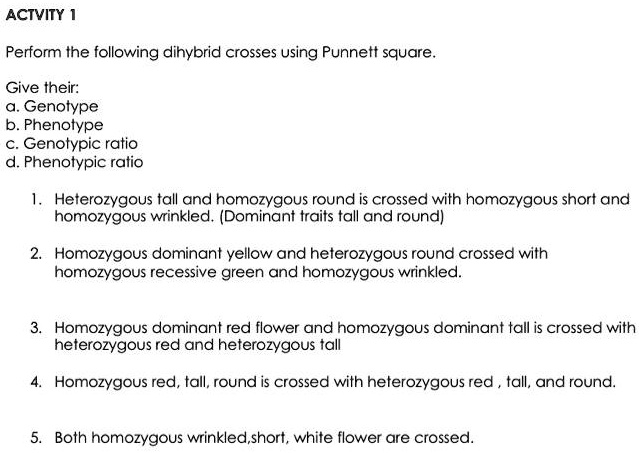 actvity perform the following dihybrid crosses using punnett square ...