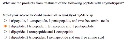 SOLVED: What are the products from treatment of the following peptide ...