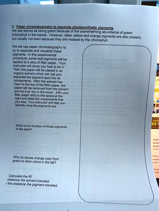 2) Paper chromatography to separate photosynthetic pigments. We see ...