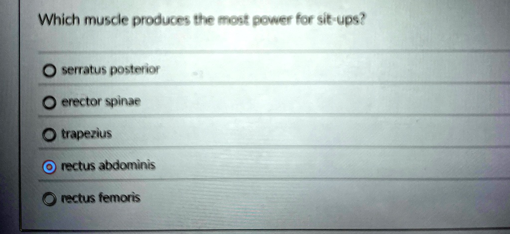 Which muscle produces the most power for sit-ups? serratus posterior ...