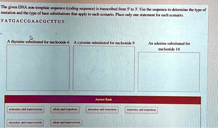 Solved The Given Dna Non Template Sequence Coding Sequence Is 3291