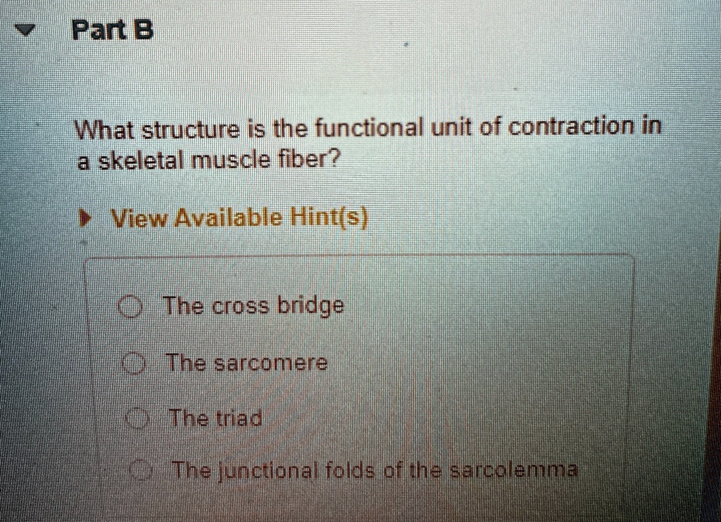 part b what structure is the functional unit of contraction in a ...