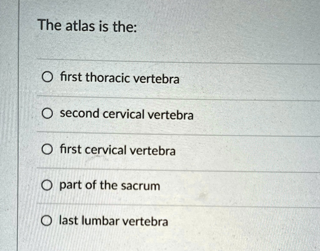 The atlas is the: first thoracic vertebra second cervical vertebra ...