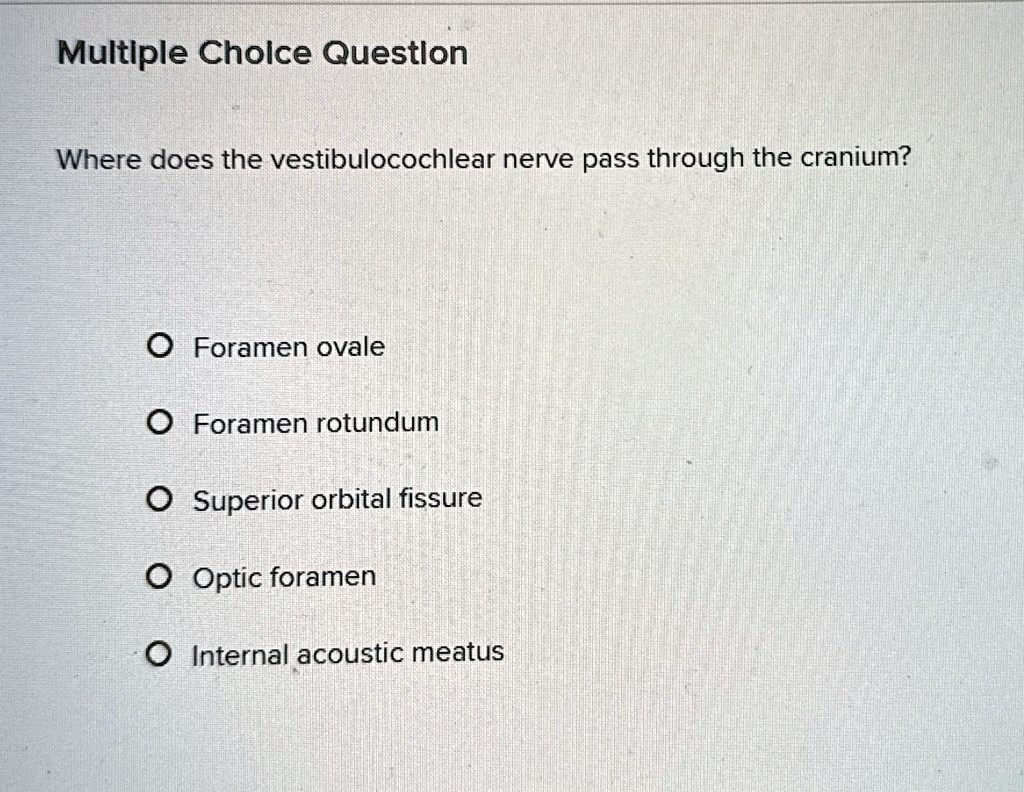 Multiple Choice Question Where does the vestibulocochlear nerve pass ...
