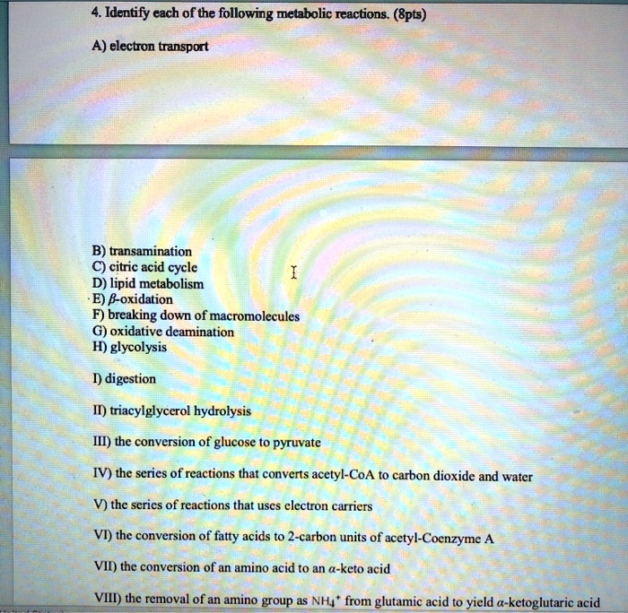 4. Identify each of the following metabolic reactions. (8pts) A ...