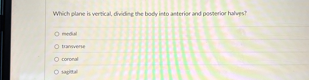 which plane is vertical dividing the body into anterior and posterior ...