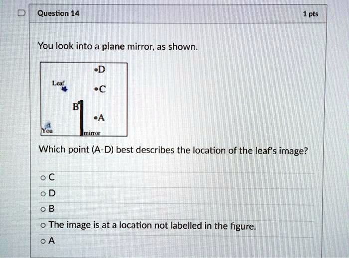 question 14 pts you look into a plane mirror as shown d lel c which ...