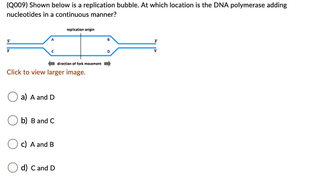 SOLVED: (QOO9) Shown below is a replication bubble. At which location ...