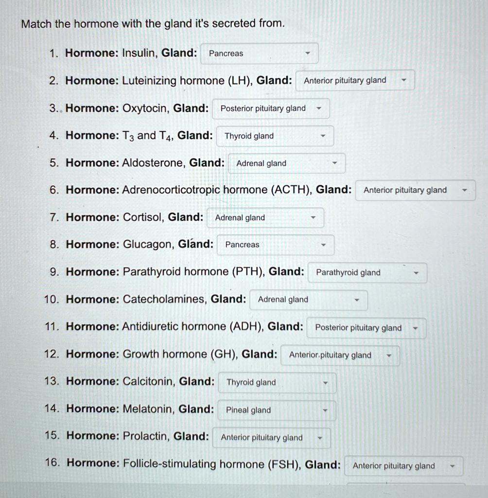 match the hormone with the gland its secreted from 1 hormone insulin ...