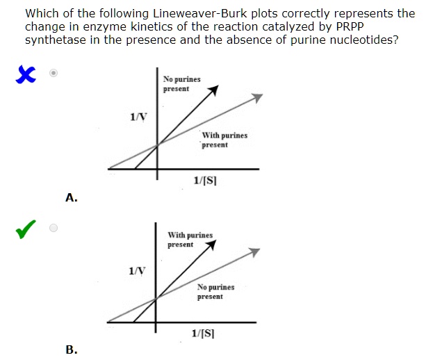 SOLVED: Which of the following Lineweaver-Burk plots correctly ...