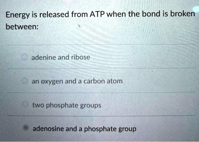 SOLVED: Energy is released from ATP when the bond is broken between ...