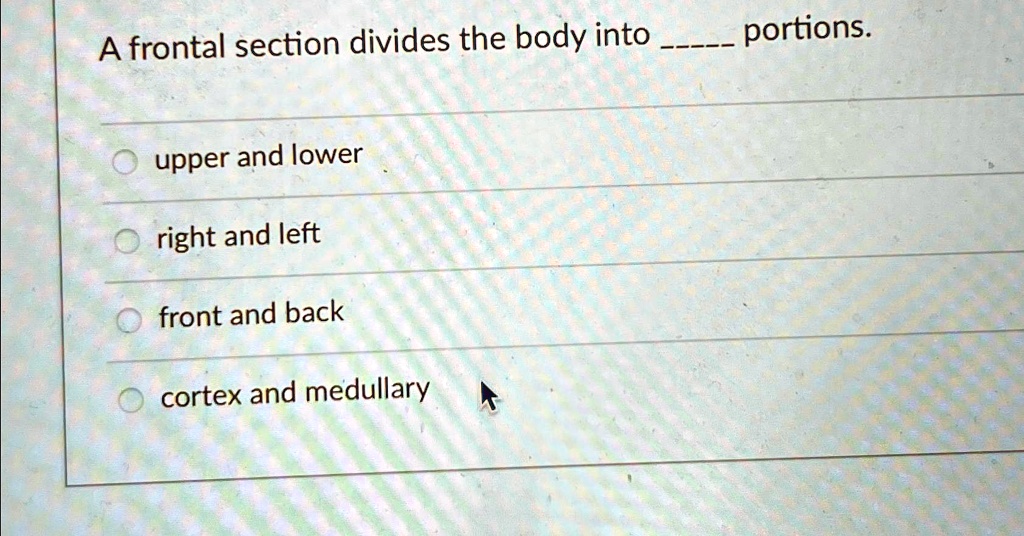 A frontal section divides the body into portions. upper and lower right ...
