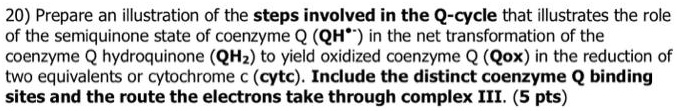 SOLVED: 20. Prepare an illustration of the steps involved in the Q ...
