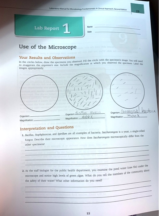 lab report 1 use of the microscope your results and observations ccnrd ...