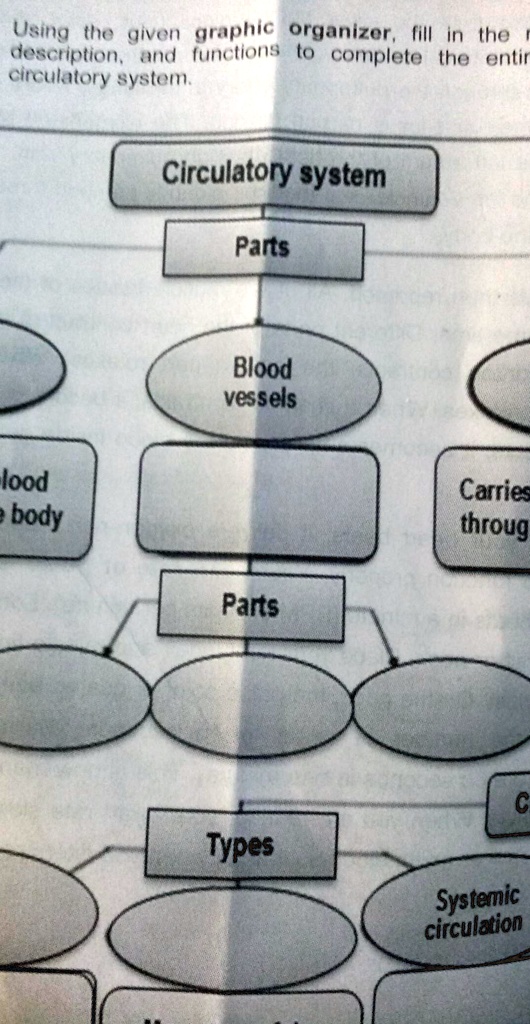 SOLVED: 'Independent Activity 1 Direction: Using the given graphic organizer, fill in the ...