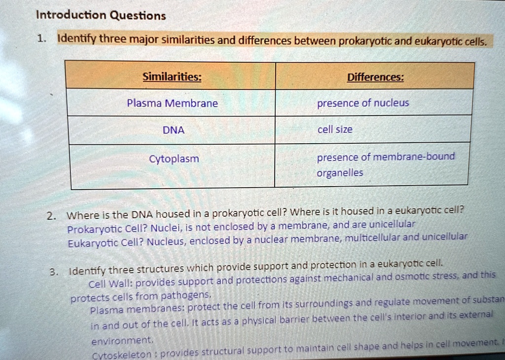 introduction questions 1 identify three major similarities and ... introduction questions 1 identify three major similarities and ...