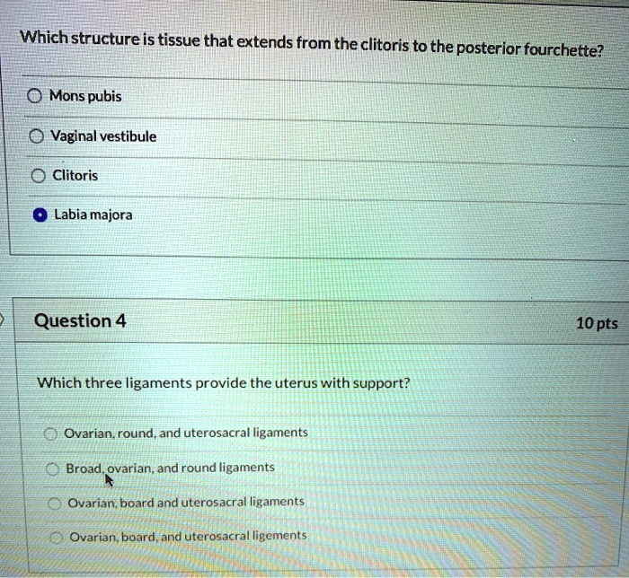 SOLVED: Which structure is tissue that extends from the clitoris to the ...