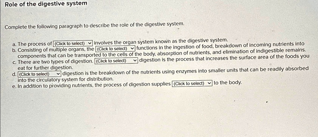 Role of the digestive system Complete the following paragraph to ...