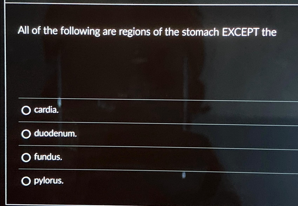 All of the following are regions of the stomach EXCEPT...