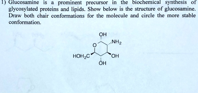 1) Glucosamine is a prominent precursor in the biochemical synthesis of ...