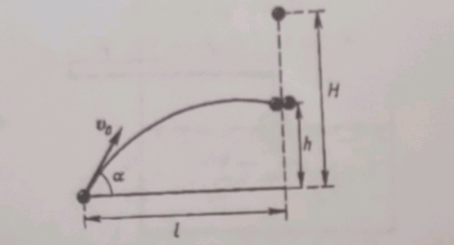 SOLVED: A body begins to fall from rest vertically downwards from a ...