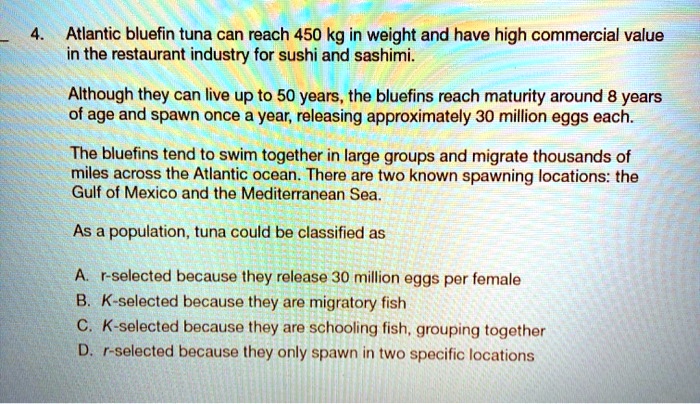 atlantic bluefin tuna can reach 450 kg in weight and have high ...