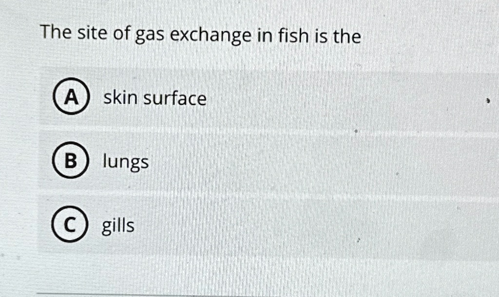 the site of gas exchange in fish is the a skin surface b lungs c gills ...