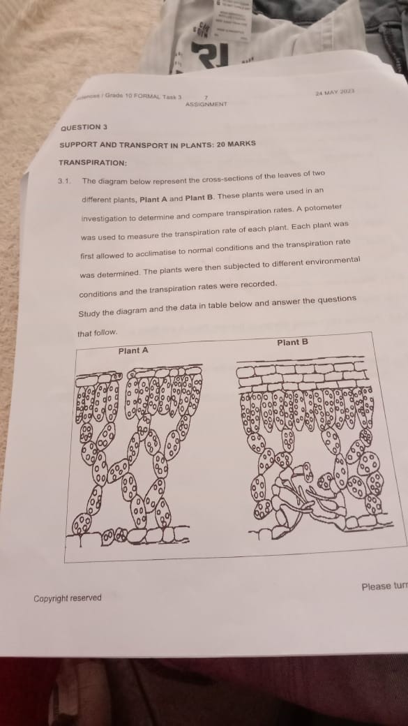 t Grade 10 ForMak. Tatk 3 AsgiGingent QUESTION 3 SUPPORT AND TRANSPORT ...