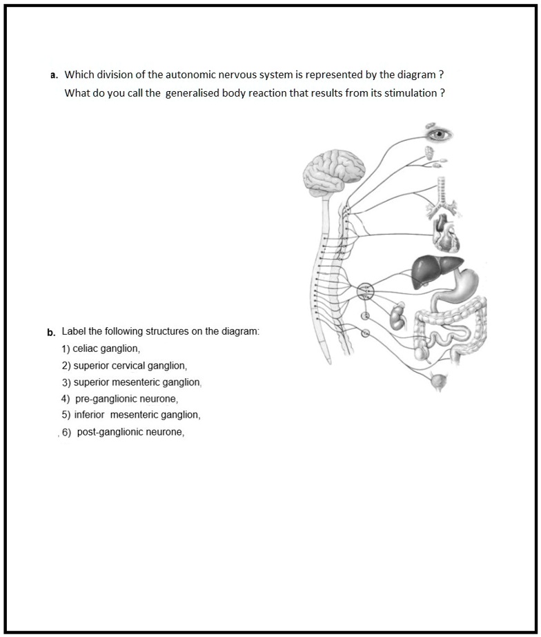SOLVED: a. Which division of the autonomic nervous system is ...