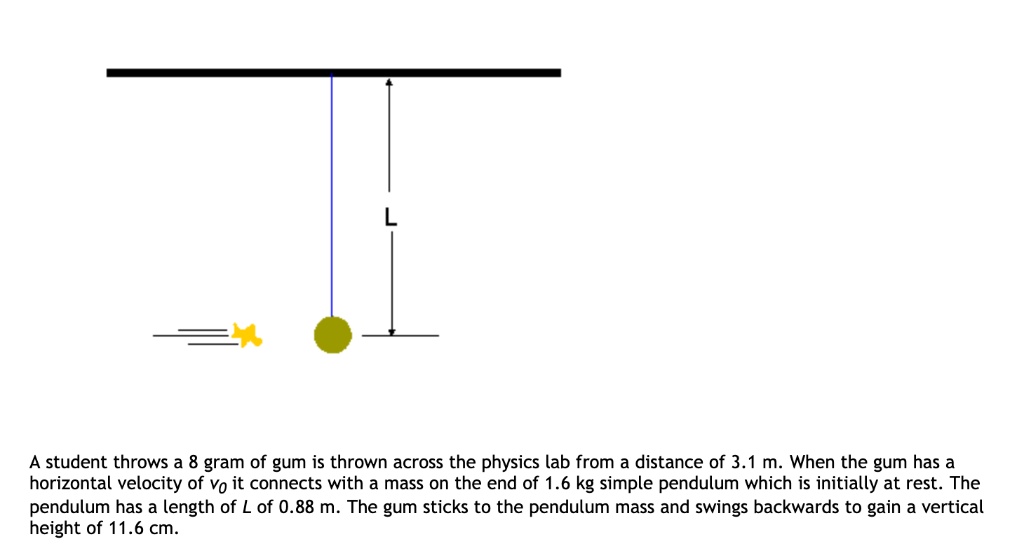 a student throws a 8 gram of gum is thrown across the physics lab from ...