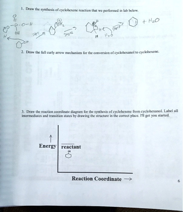 SOLVED: Draw the synthesis of cyclohexene reaction that we performed lab below. 20 P-O-h Draw ...