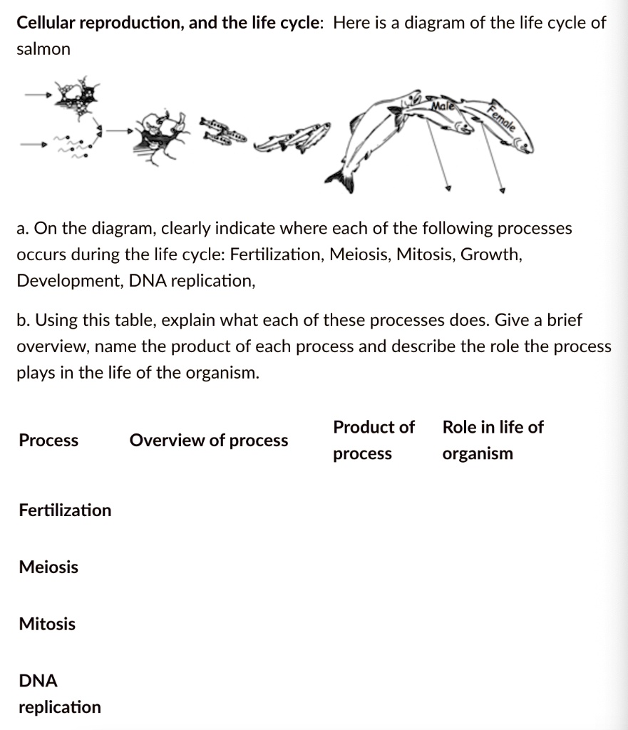 SOLVED: Cellular reproduction, and the life cycle: Here is a diagram of ...