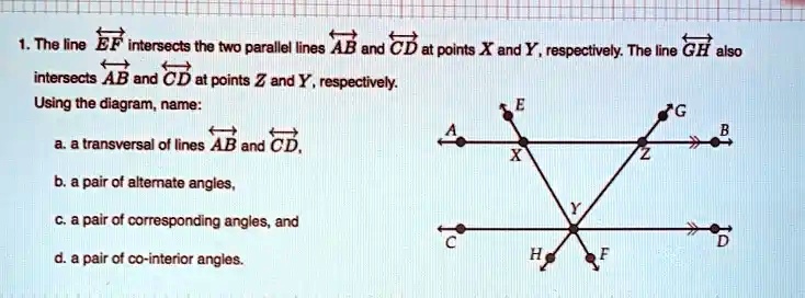 1. The line EF intersects the two parallel lines AB and CD at points X and Y, respectively. The ...