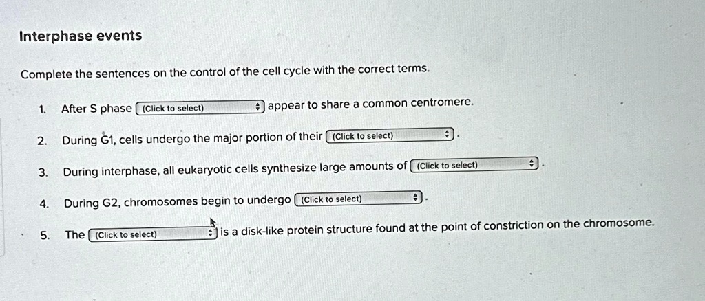 Interphase events complete the sentences on the control of...