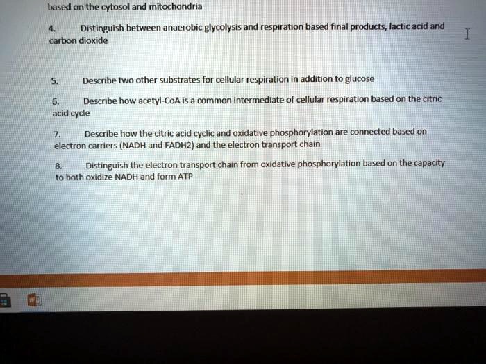 based on the cytosol and mitochondria Distinguish between anaerobic ...