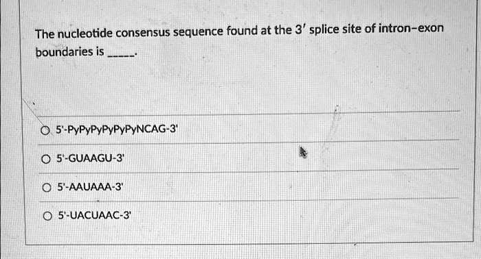 SOLVED: The nucleotide consensus sequence found at the 3' splice site ...