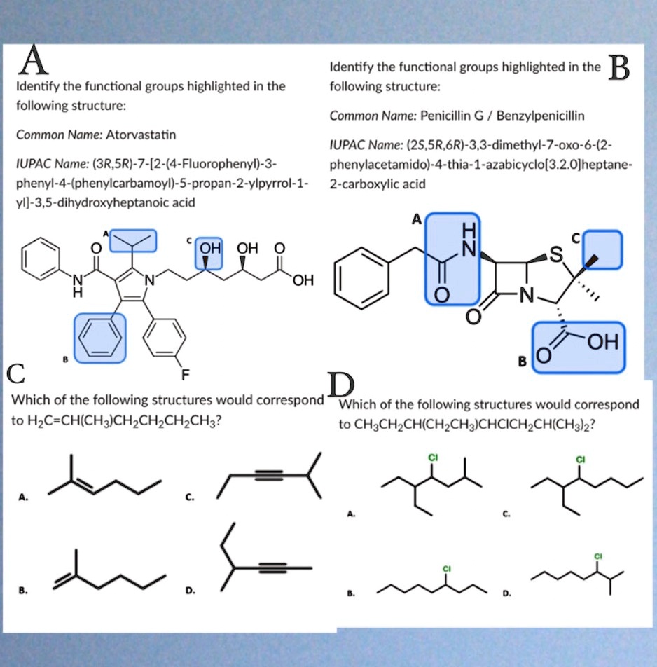 SOLVED: Identify the functional groups highlighted in the following ...