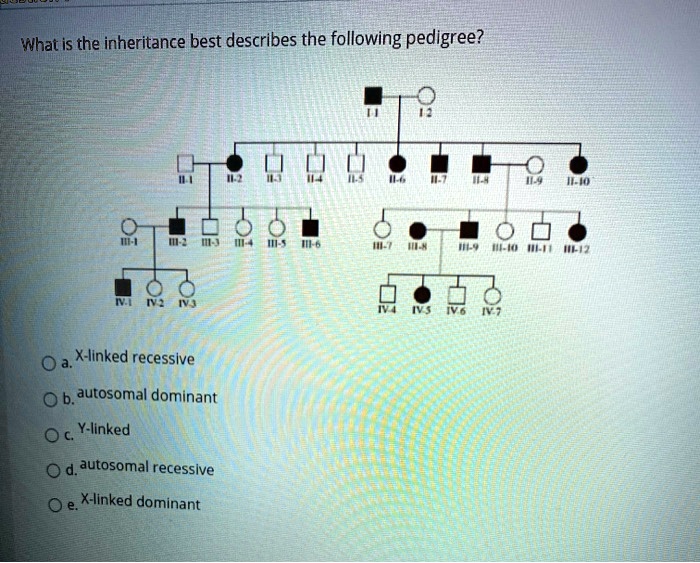 SOLVED: What is the inheritance best describes the following pedigree? X-linked recessive b ...