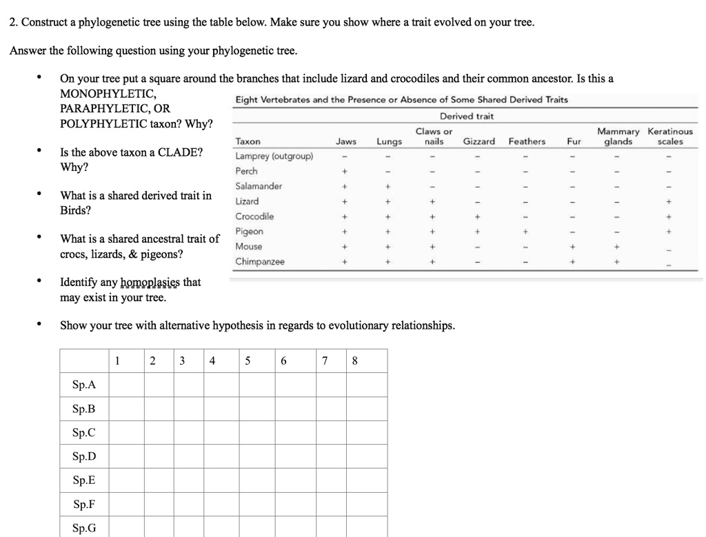SOLVED: Construct a phylogenetic tree using the table below. Make sure you show where traits ...
