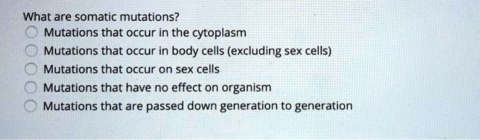 Solved What Are Somatic Mutations Mutations That Occur In The Cytoplasm Mutations That Occur