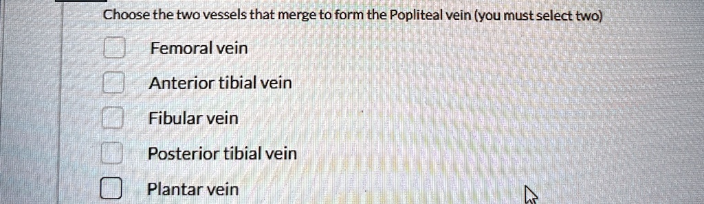 [GET ANSWER] choose the two vessels that merge to form the popliteal vein you must select two ...