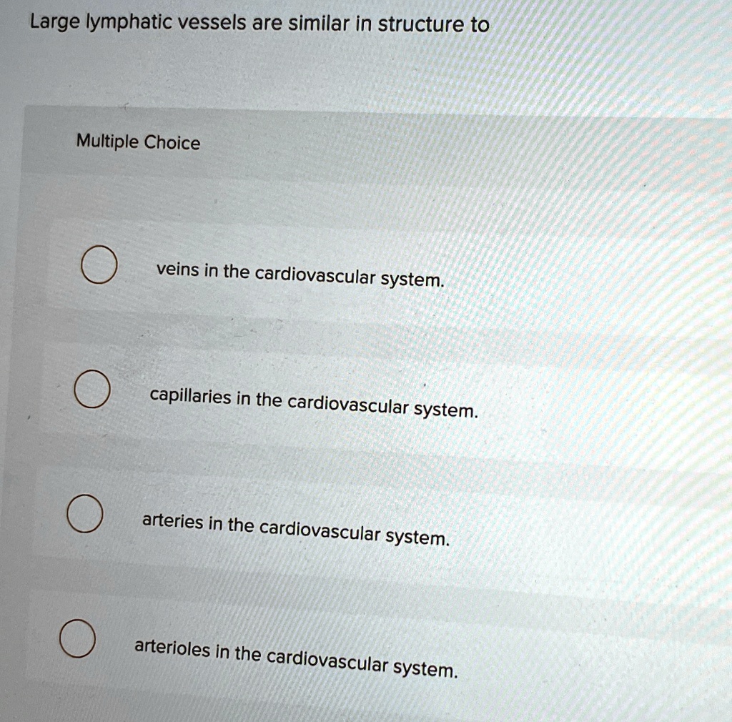 Large lymphatic vessels are similar in structure to Multiple Choice ...