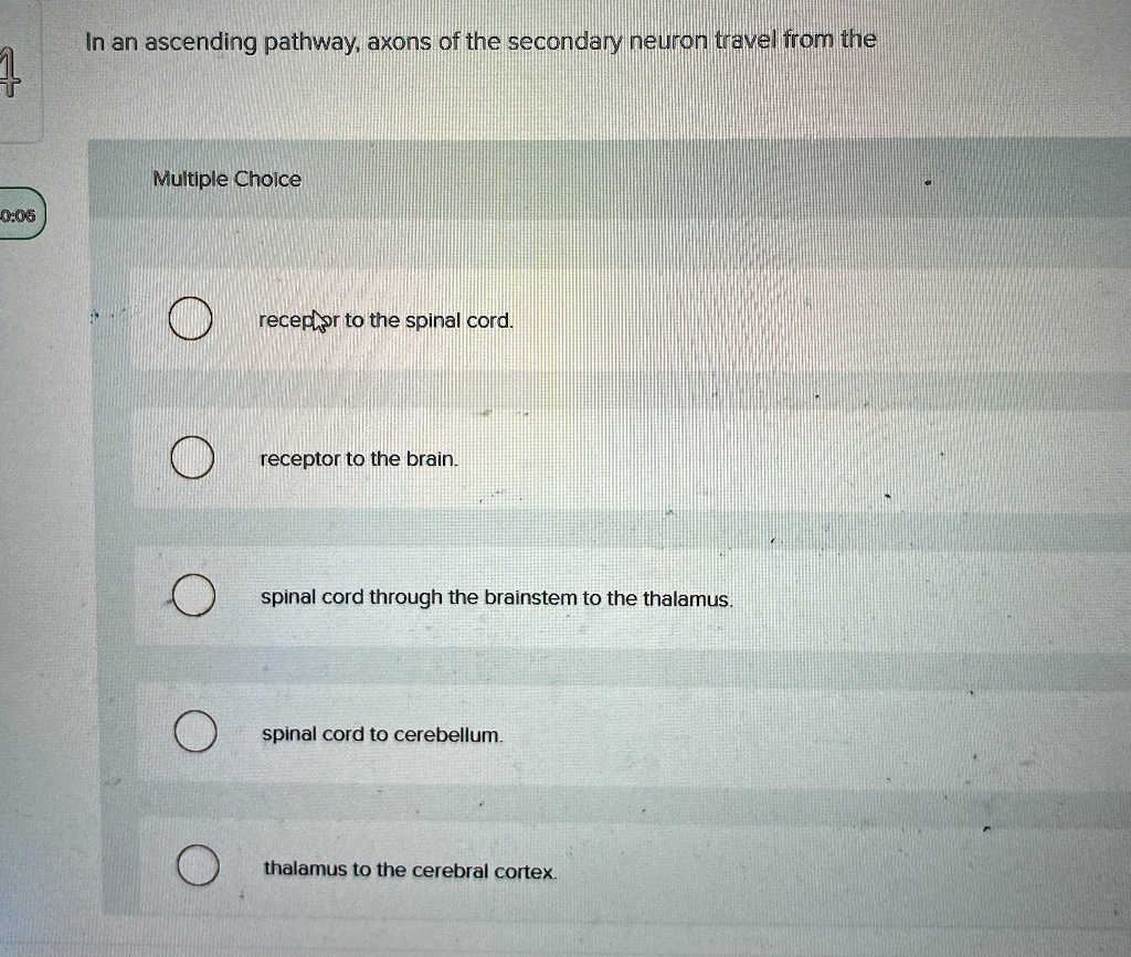in an ascending pathway axons of the secondary neuron travel from the ...