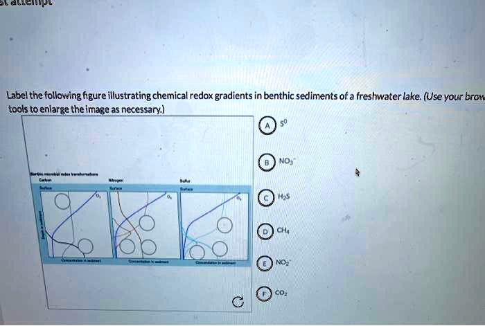 SOLVED: Label the following figure illustrating chemical redox ...