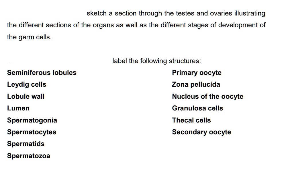 sketch a section through the testes and ovaries illustrating the ...