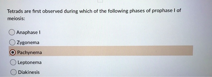 SOLVED: Tetrads are first observed during which of the following phases ...