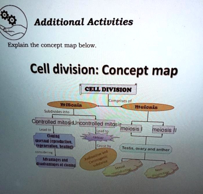 SOLVED: Additional Activities Explain the concept map below. Cell division: Concept map CELL ...