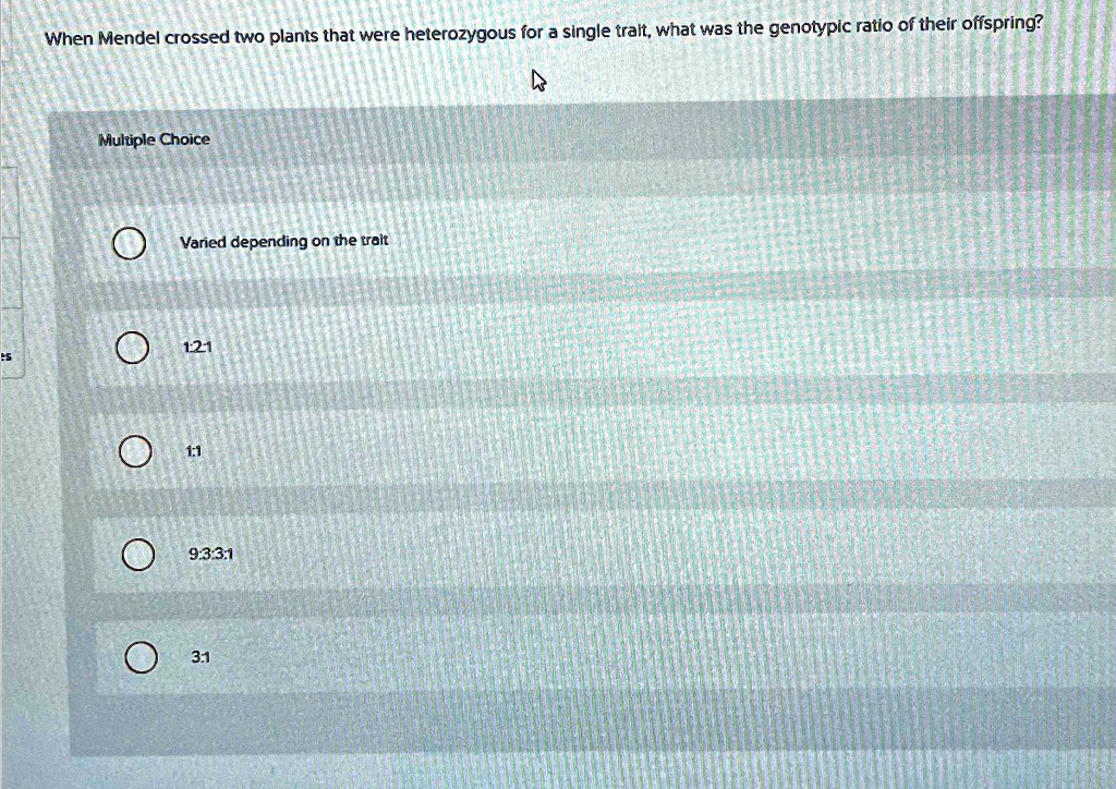 when mendel crossed two plants that were heterozygous for a single ...