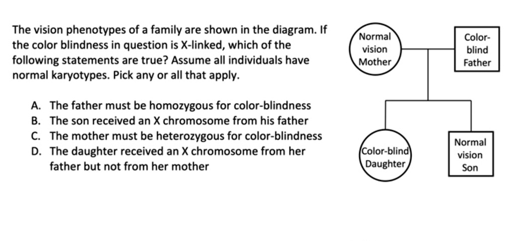 The vision phenotypes of a family are shown in the diagram. If the ...